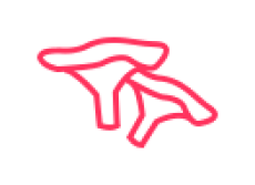 Girolle Caps | Citizen Sleeper Wiki | Fandom