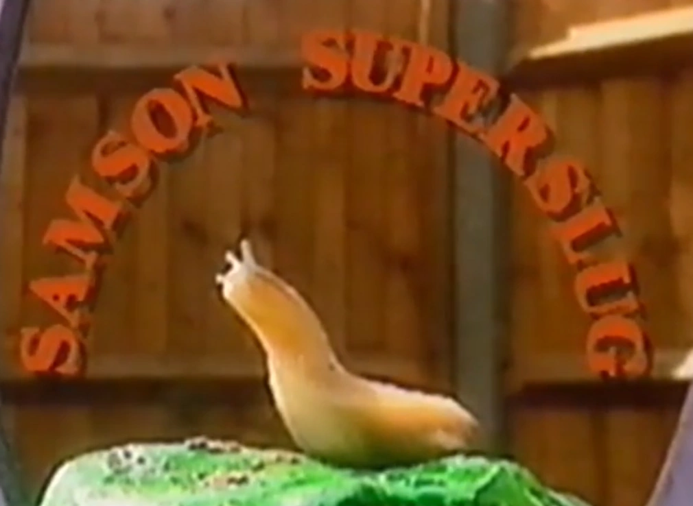 Samson Superslug | CITV Wiki | Fandom
