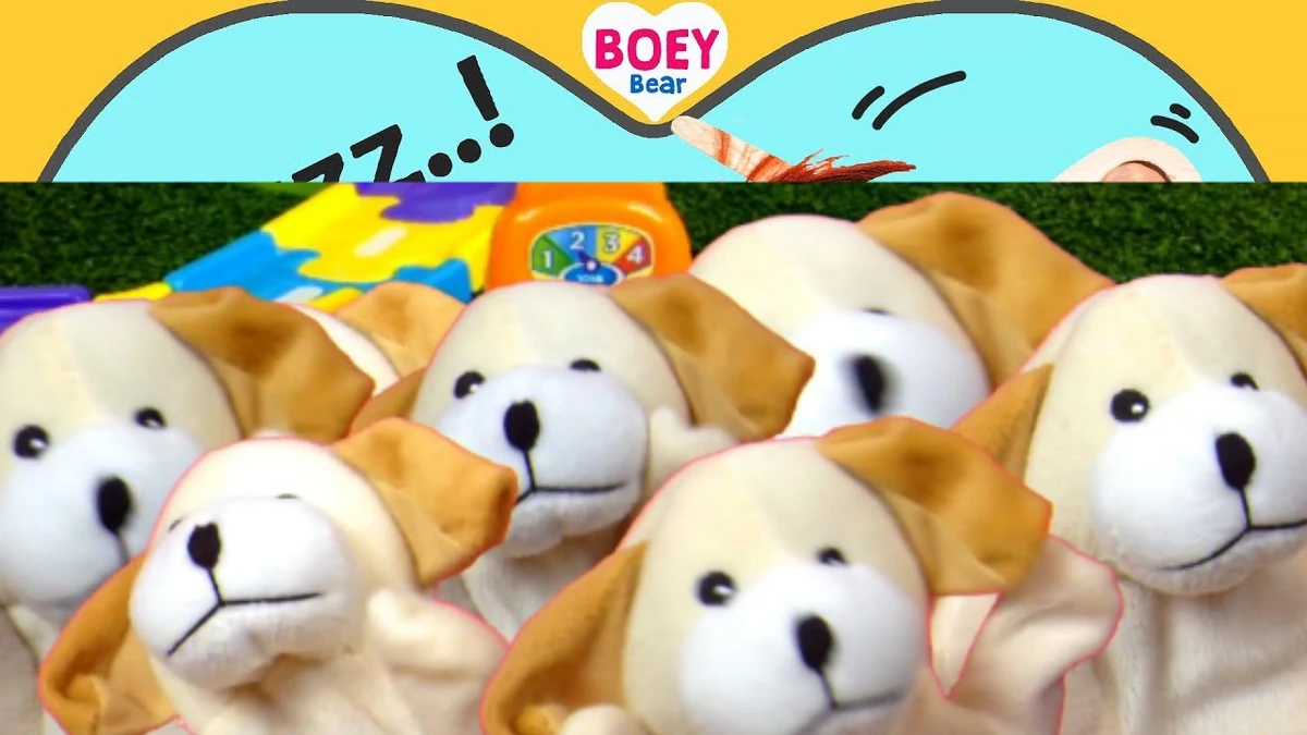 50/50 | CITV Wiki | Fandom