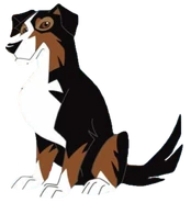 Famous 5: On the Case | CITV Wiki | Fandom