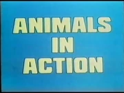 Animals in Action | CITV Wiki | Fandom
