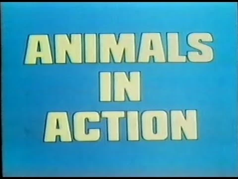 Animals in Action | CITV Wiki | Fandom