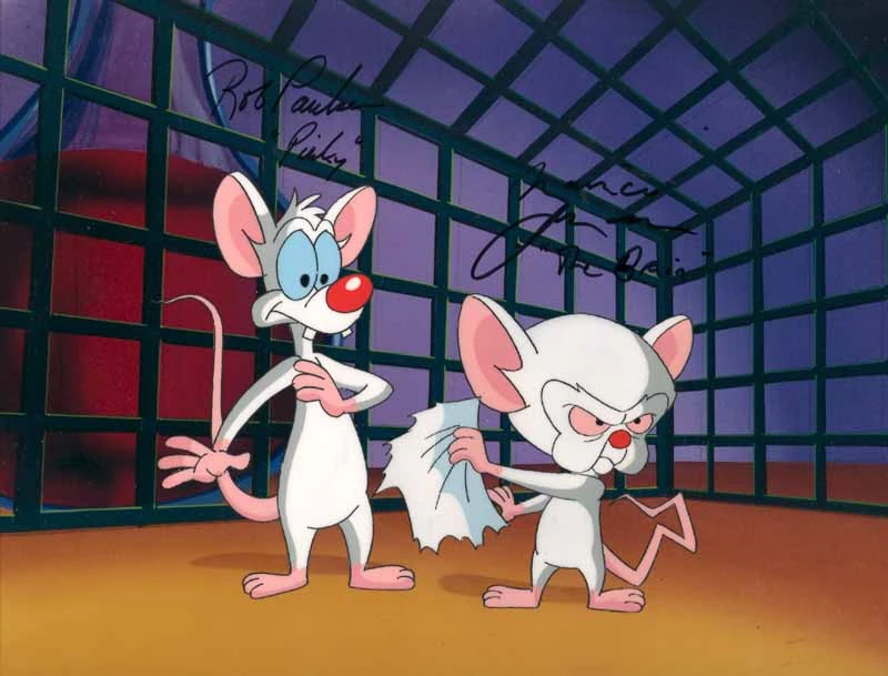 Pinky and the Brain | CITV Wiki | Fandom