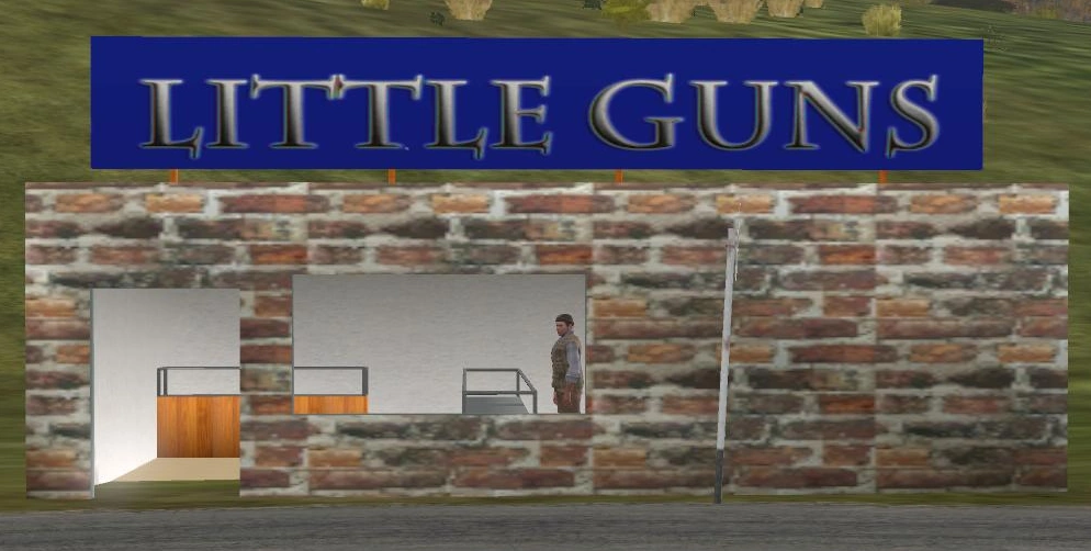 Little Guns | City Life RPG Wiki | Fandom