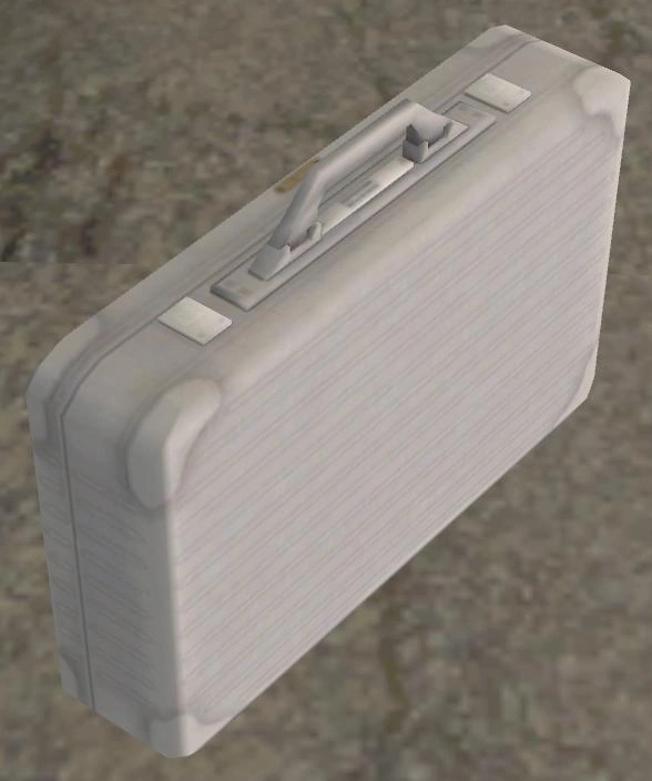 Suitcase | City Life RPG Wiki | Fandom