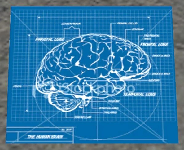 Blueprint | City Life RPG Wiki | Fandom