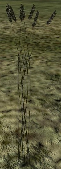 Wheat | City Life RPG Wiki | Fandom