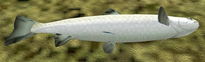 FreshFish | City Life RPG Wiki | Fandom