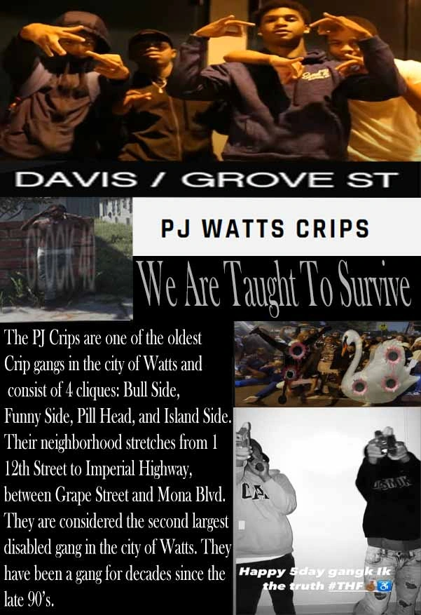 PJ Watts Crips | CityOfLosSantos Wiki | Fandom