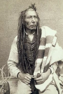 Poundmaker (Civ6) | Civilization Wiki | Fandom