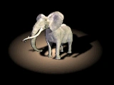 Elephant (CTP1) | Civilization Wiki | Fandom