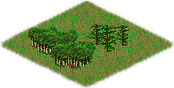 Forest (Civ2) | Civilization Wiki | Fandom
