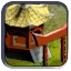 Pavilion (Civ4) | Civilization Wiki | Fandom