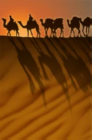 Scramble for Africa (Civ5) | Civilization Wiki | Fandom
