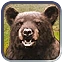 Bear (Civ4) | Civilization Wiki | Fandom
