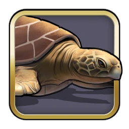 Turtles (Civ7) | Civilization Wiki | Fandom