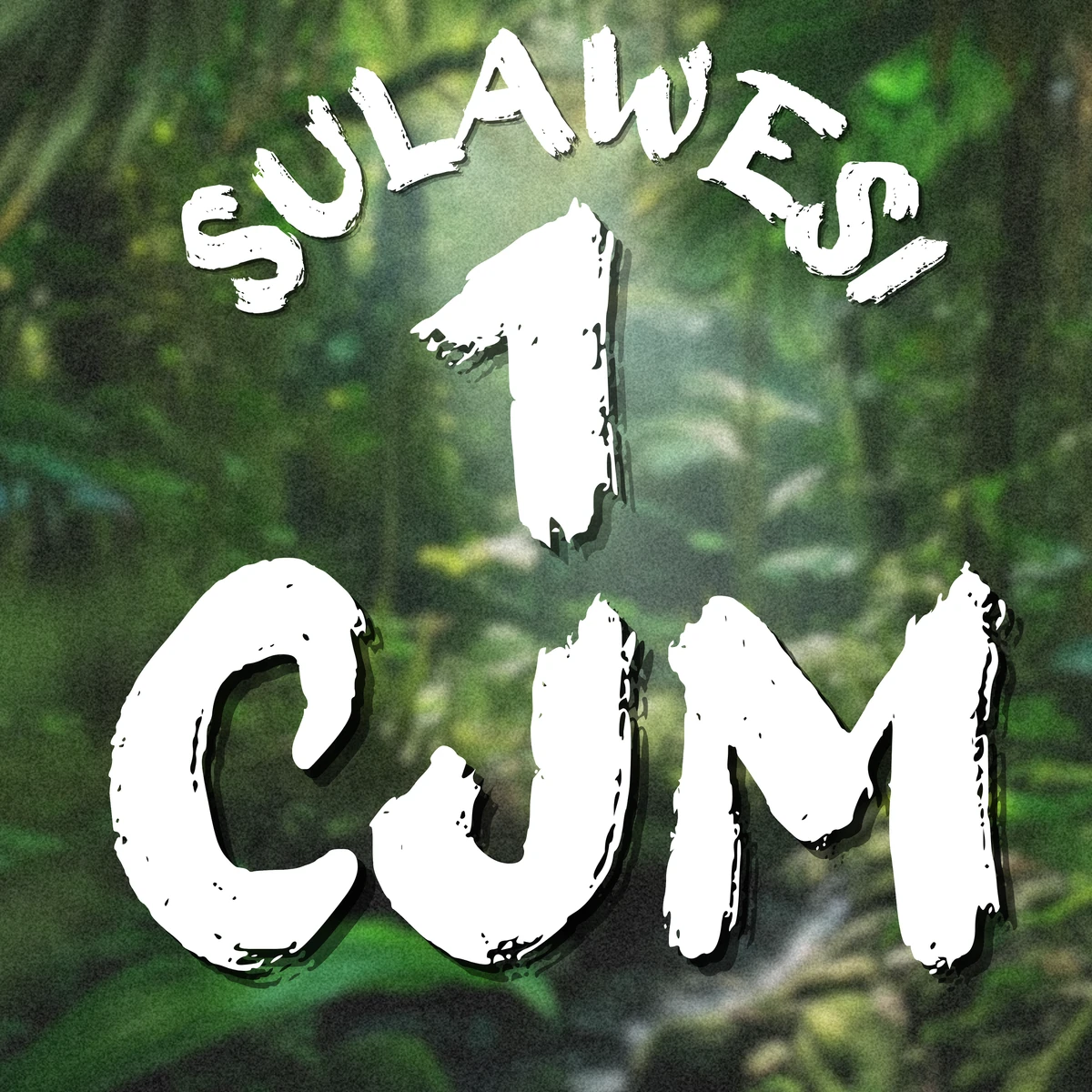 Toraja Three | CJ & Moon's Survivor Wiki | Fandom