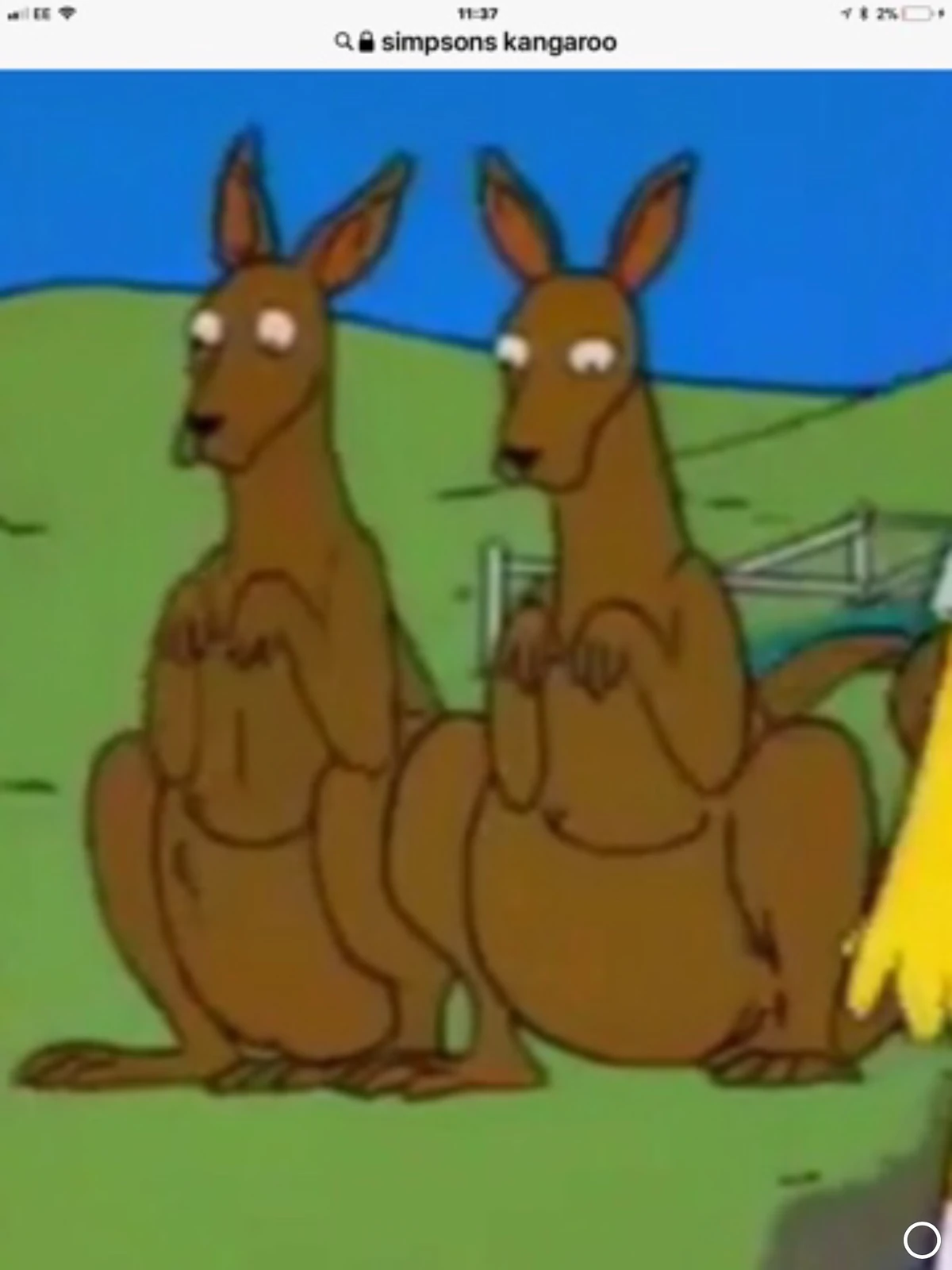 Kangaroo (The Simpsons) | Cl E Wiki | Fandom