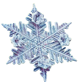 Snowim | Clair Obscur Wiki | Fandom