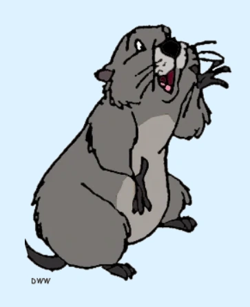 Gopher (Disney's Winnie The Pooh) | Claire Eales' University Of ...