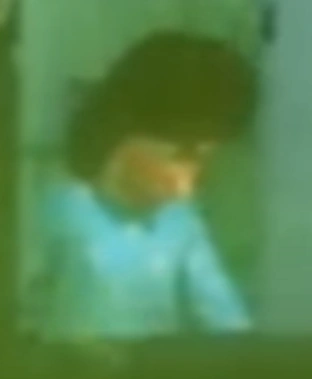 Barbara (Finding Nemo) | Claire Eales' University Of Scotland Wiki | Fandom