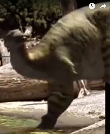 Sebastian (Walking With Dinosaurs) | Claire Eales Wiki | Fandom