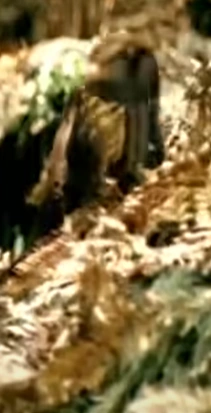 Ping (Walking With Dinosaurs) | Claire Eales Wiki | Fandom