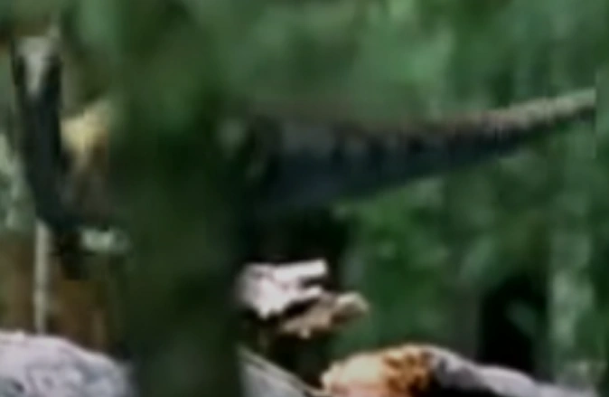 Sheldon (Walking With Dinosaurs) | Claire Eales Wiki | Fandom