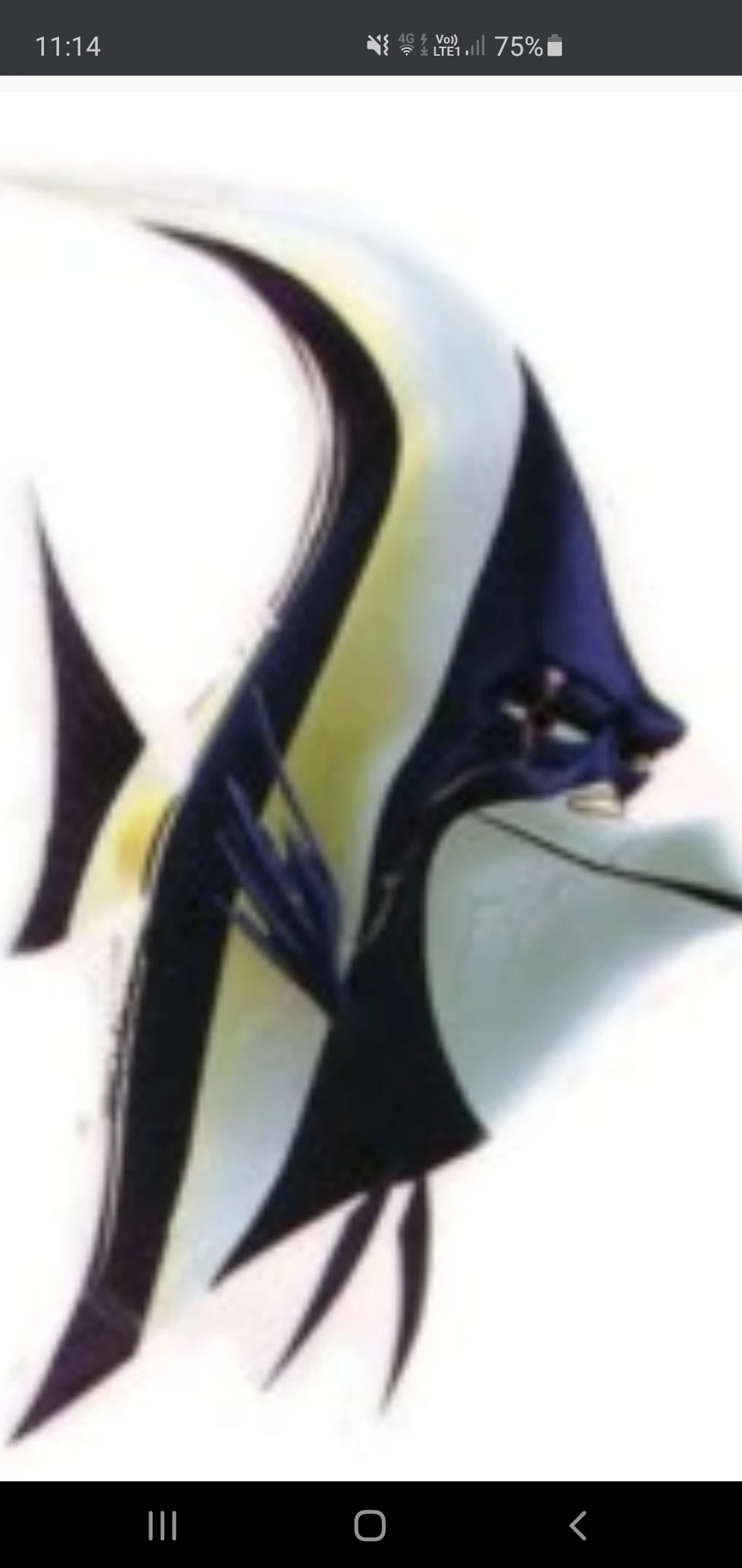 User blog:Claire 82/Gill The Angelfish Leader | Claire Eales Wiki | Fandom