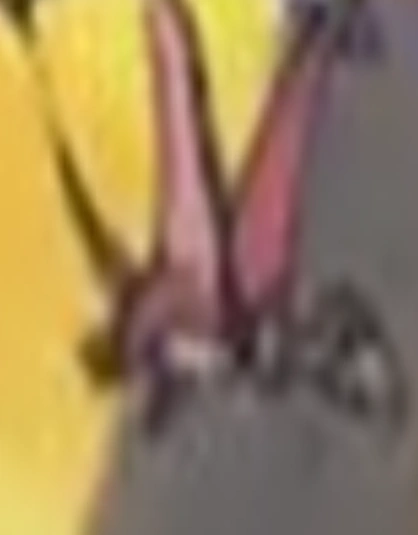 Rinkus (The Land Before Time)/Gallery | Claire Eales Wiki | Fandom