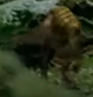 Lydia (Walking With Dinosaurs) | Claire Eales Wiki | Fandom