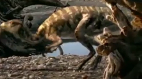 Lisa (Walking With Dinosaurs) | Claire Eales Wiki | Fandom