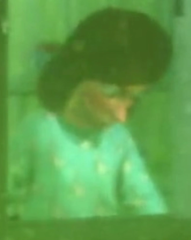 Barbara (Finding Nemo) | Claire Eales Wiki | Fandom