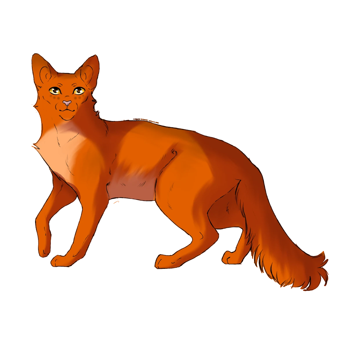 Pelage de Braise | Wiki Clan de l' Orage | Fandom