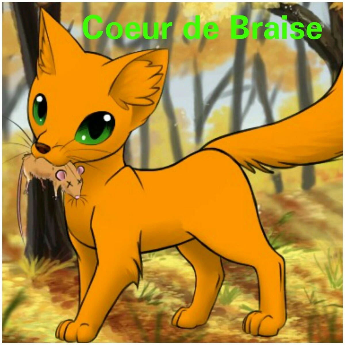 Cœur de Braise | Wiki Clan du Cristal | Fandom