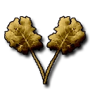 Kail Patch | Clanfolk Wiki | Fandom