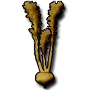 Neep Patch | Clanfolk Wiki | Fandom