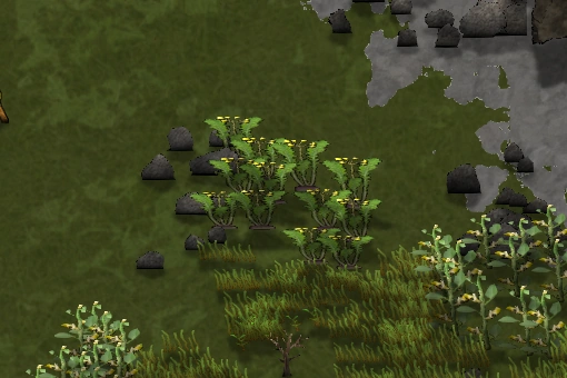 Neeps | Clanfolk Wiki | Fandom