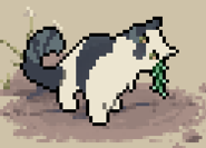 Pelt colors & Patterns | Clangen Fan Edit Wiki | Fandom