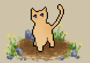 Pelt colors & Patterns | Clangen Fan Edit Wiki | Fandom