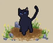 Pelt colors & Patterns | Clangen Fan Edit Wiki | Fandom