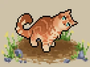 Pelt colors & Patterns | Clangen Fan Edit Wiki | Fandom