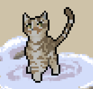 Pelt colors & Patterns | Clangen Fan Edit Wiki | Fandom