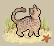 Pelt colors & Patterns | Clangen Fan Edit Wiki | Fandom