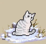 Pelt colors & Patterns | Clangen Fan Edit Wiki | Fandom