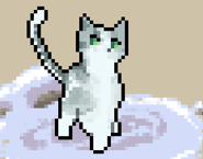 Pelt colors & Patterns | Clangen Fan Edit Wiki | Fandom