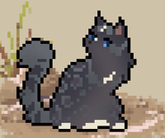 Pelt colors & Patterns | Clangen Fan Edit Wiki | Fandom