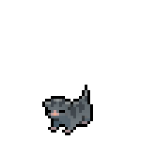 Poses | ClanGen Wiki | Fandom