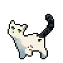 Scars | ClanGen Wiki | Fandom