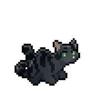 Poses | ClanGen Wiki | Fandom